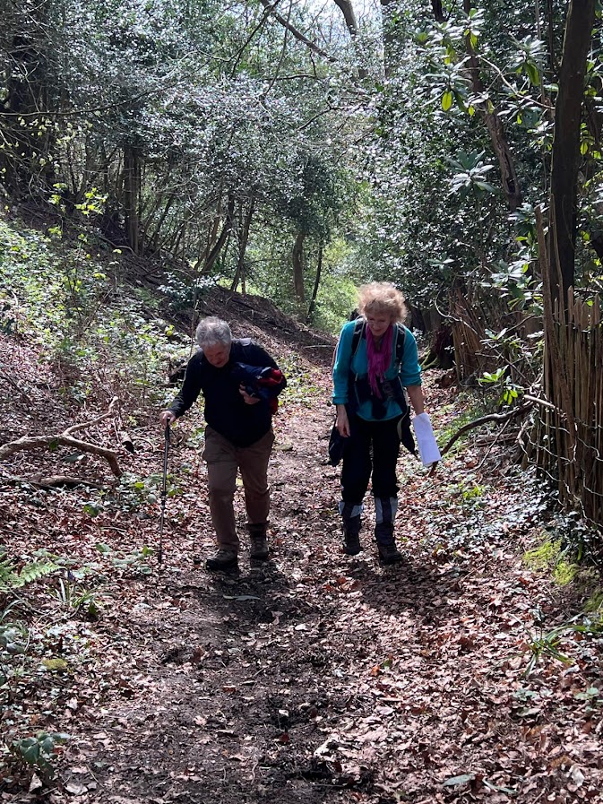 OXTED CIRCULAR – 13 APRIL | London based walking, rambling and hiking